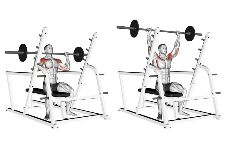 Exercises Mybodycreator