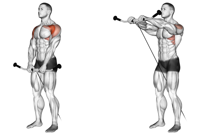 Ez Bar Front Raise | atelier-yuwa.ciao.jp