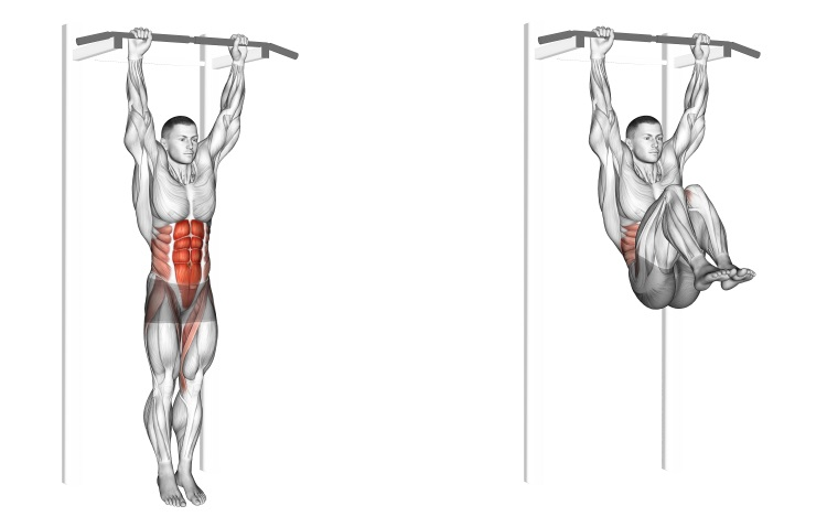 Hanging Leg Raises Muscles Worked