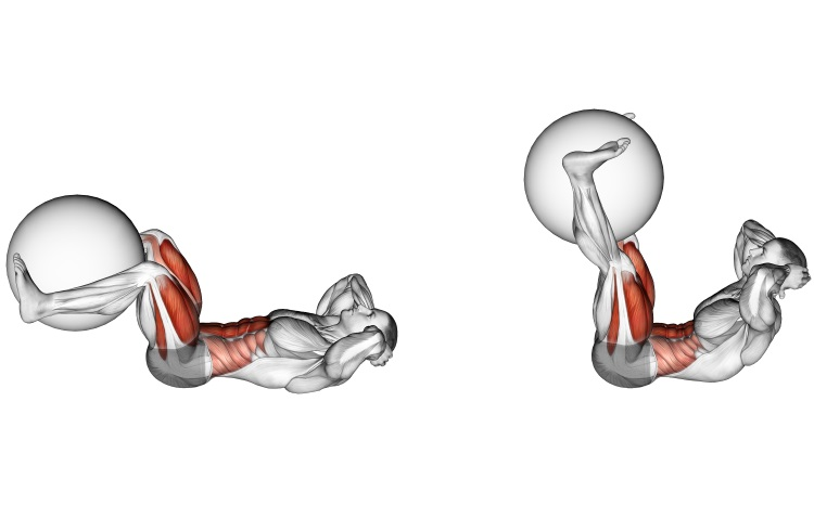 Упражнения | MyBodyCreator