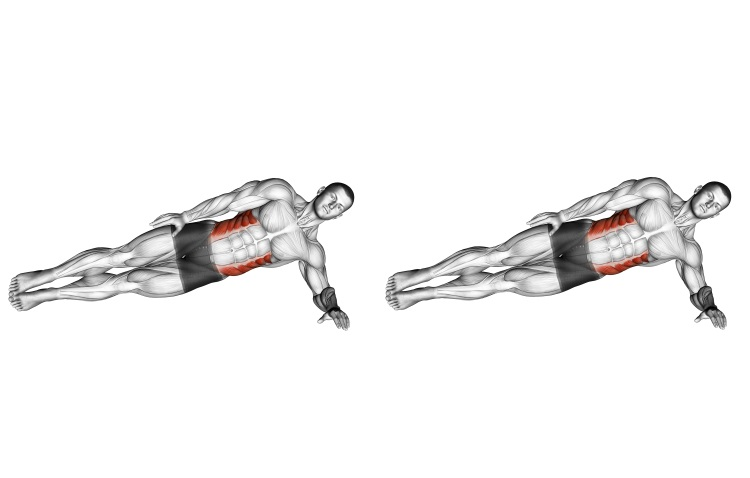 Home Exercises | MyBodyCreator