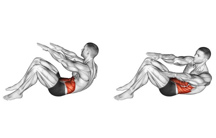 Exercises | MyBodyCreator