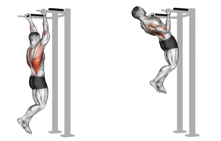 Close Grip Pull Up