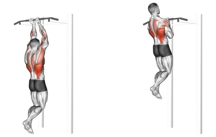 Home Exercises | MyBodyCreator