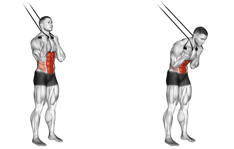 Home Exercises | MyBodyCreator