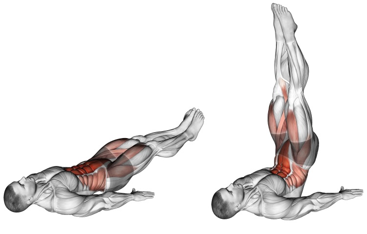 Exercises | MyBodyCreator