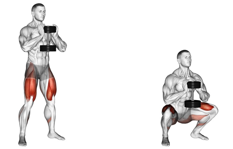 Домашни упражнения | MyBodyCreator