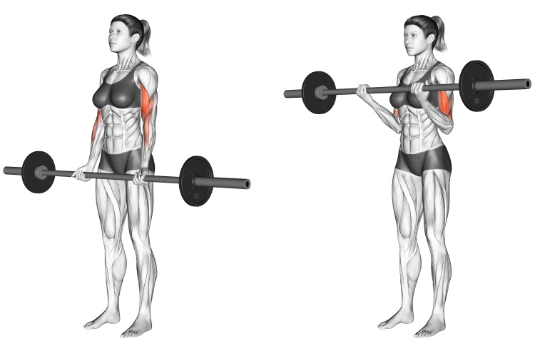 Home Exercises | MyBodyCreator