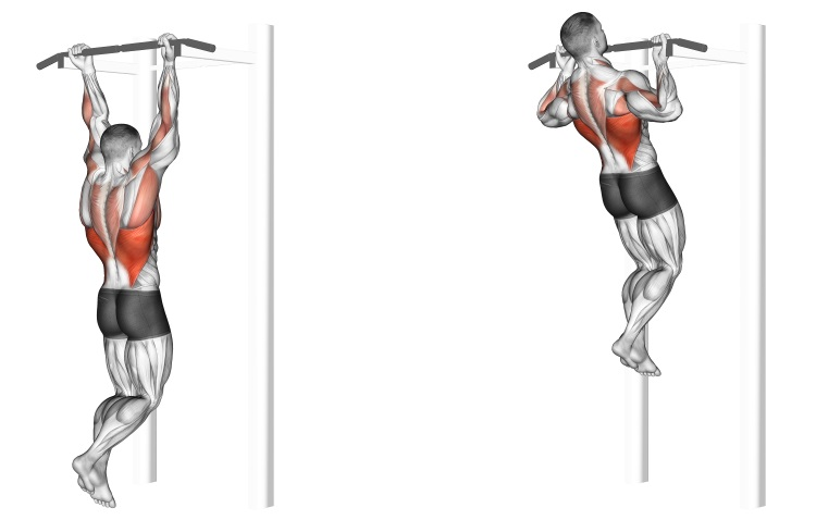 How To Do The Commando Pullup Variation Muscle Fitness | atelier-yuwa ...