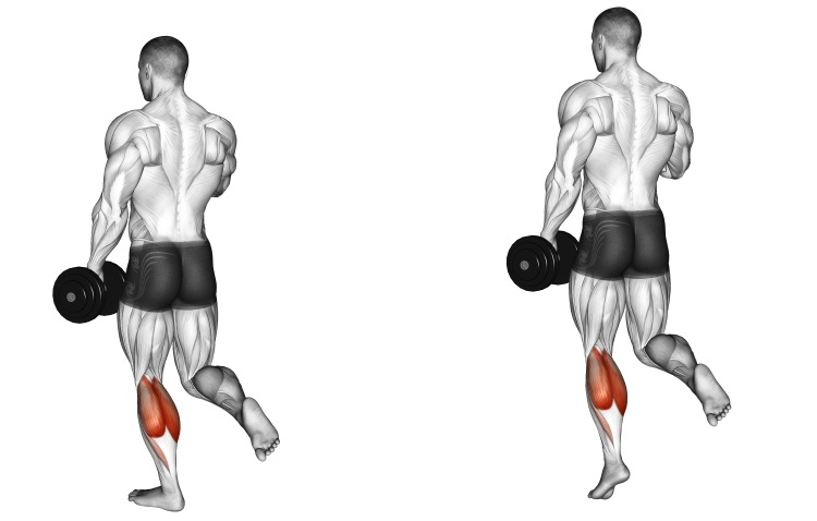 Standing Dumbbell Single Leg Calf Raise