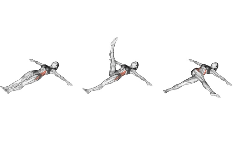 Exercises | MyBodyCreator