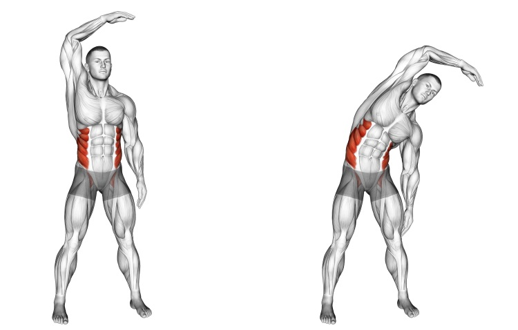 Home Exercises | MyBodyCreator