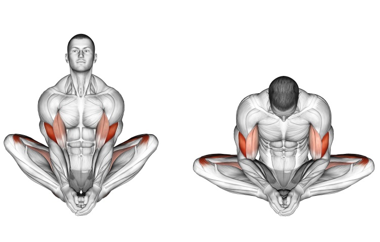 Home Exercises | MyBodyCreator