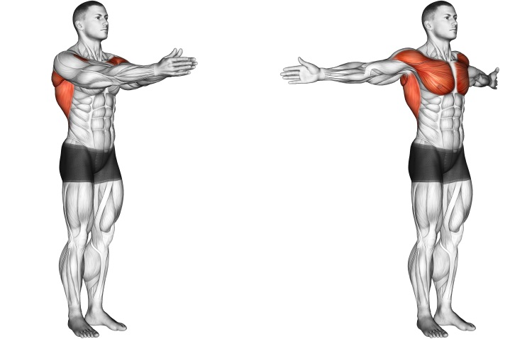 Home Exercises | MyBodyCreator