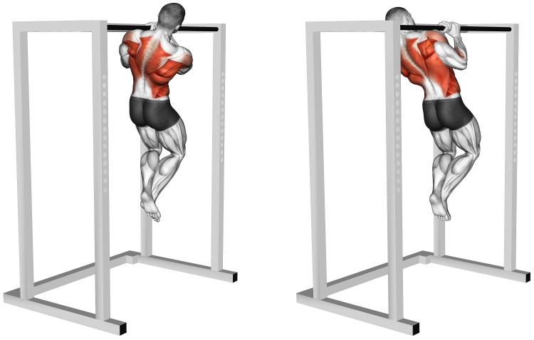 Exercises | MyBodyCreator