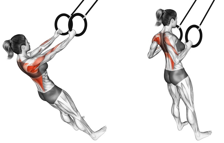 Home Exercises | MyBodyCreator