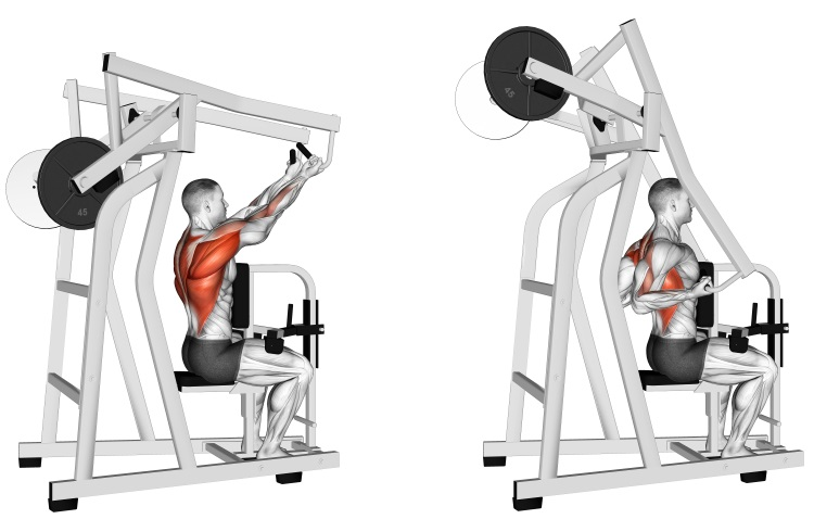 Reverse Lat Pulldown