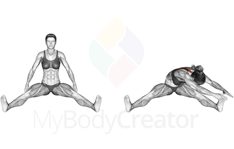 Exercises | MyBodyCreator