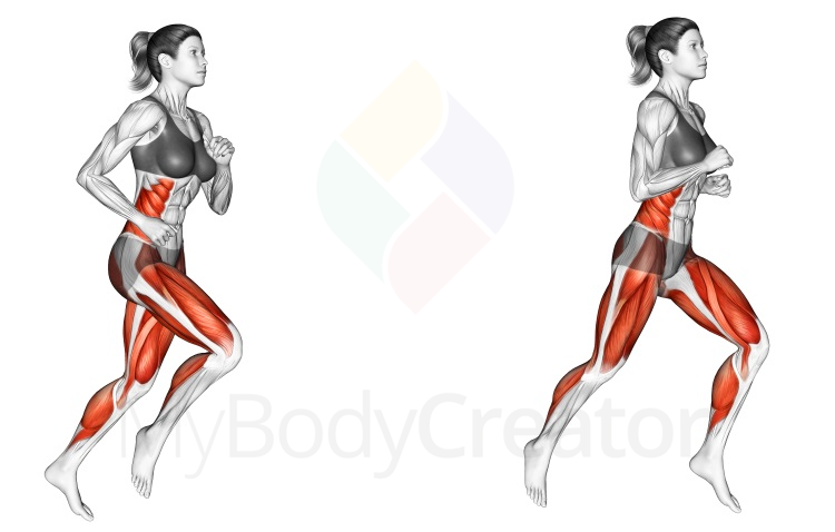 Home Exercises | MyBodyCreator