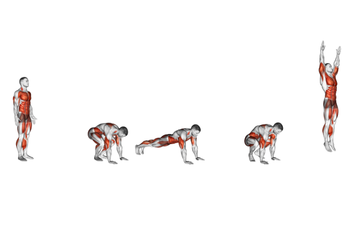 Exercises | MyBodyCreator