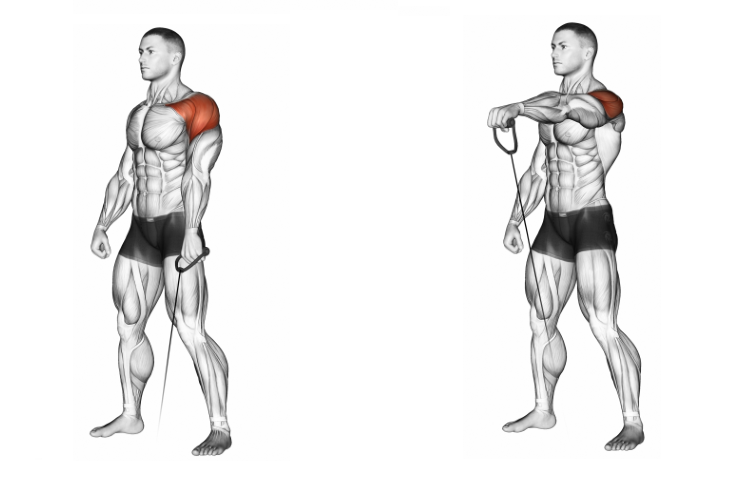 Exercises | MyBodyCreator