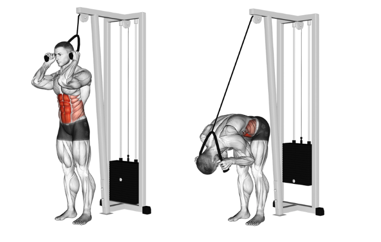 Exercises | MyBodyCreator