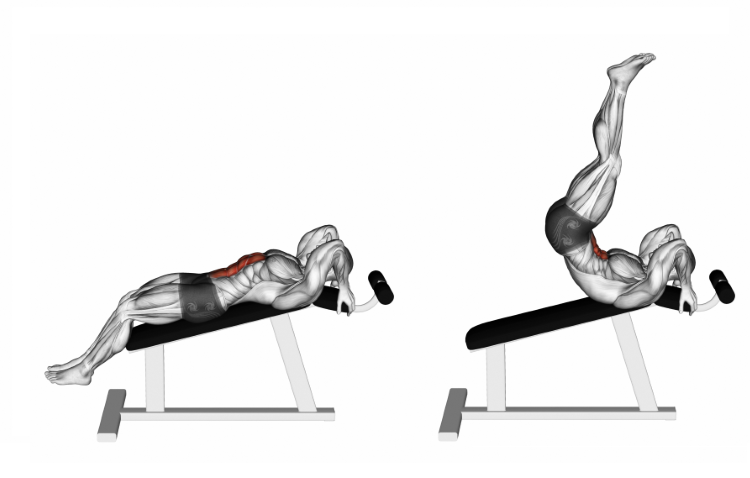 Home Exercises | MyBodyCreator