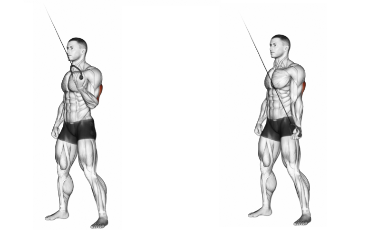 One Arm Cable Extensions