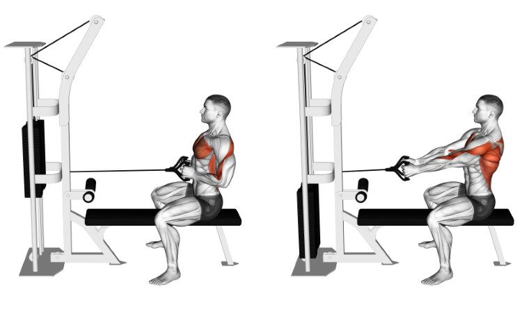 Exercises | MyBodyCreator