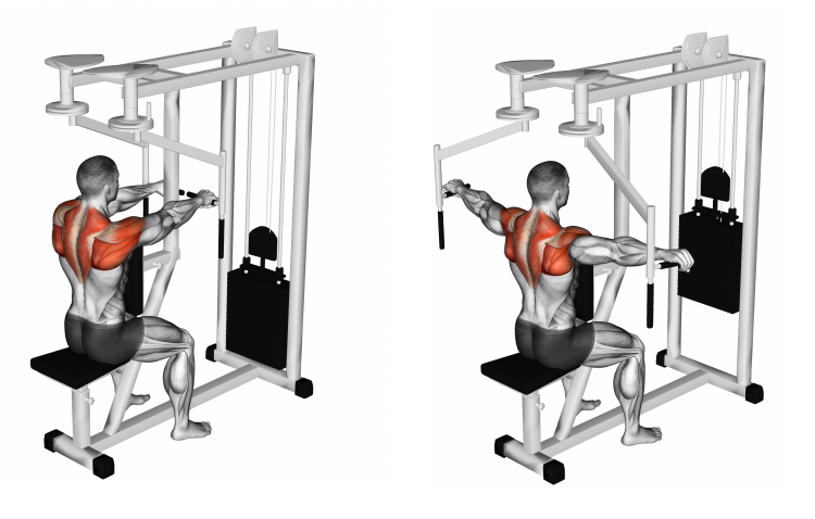 Exercises | MyBodyCreator